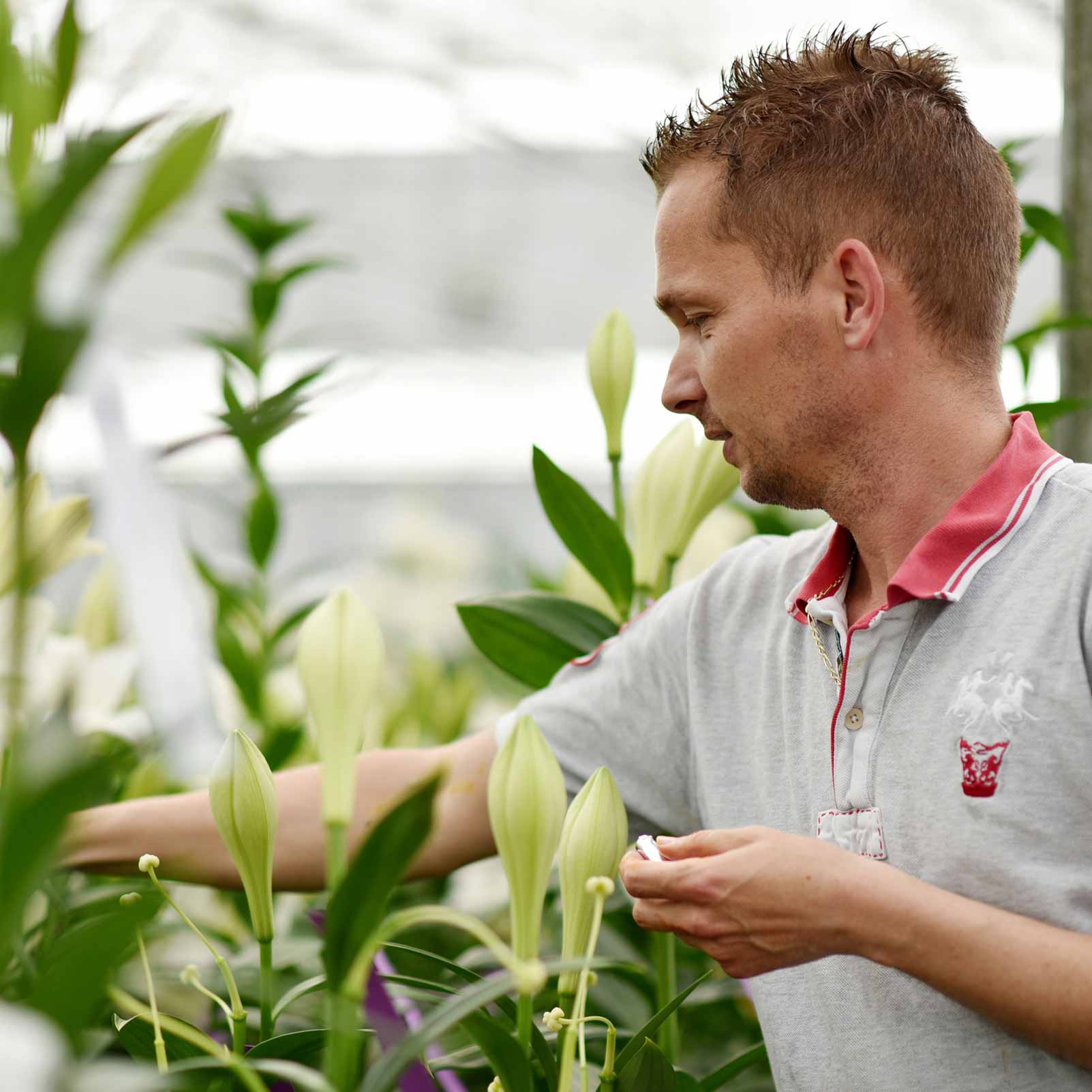 Customer case Vletter & Den Haan - From 13 applications to one system ...